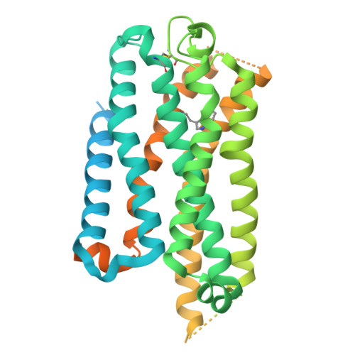 RCSB PDB - 9ARX: Local refinement of 5-HT2AR bound to 5-HT in complex ...