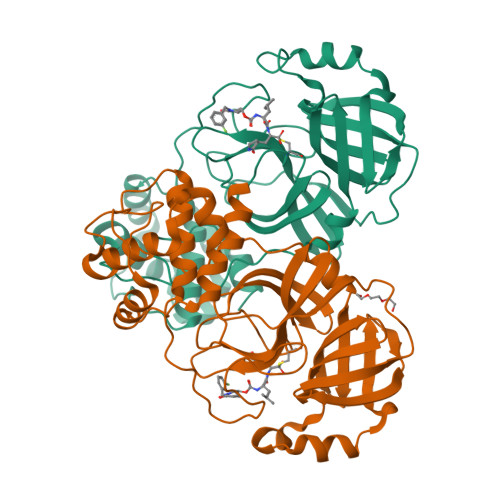 RCSB PDB - 9ASW: Crystal structure of SARS-CoV-2 3CL protease in ...
