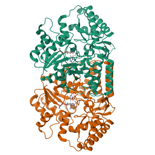 RCSB PDB - 9AU3: Crystal structure of GenB2 in complex with G418