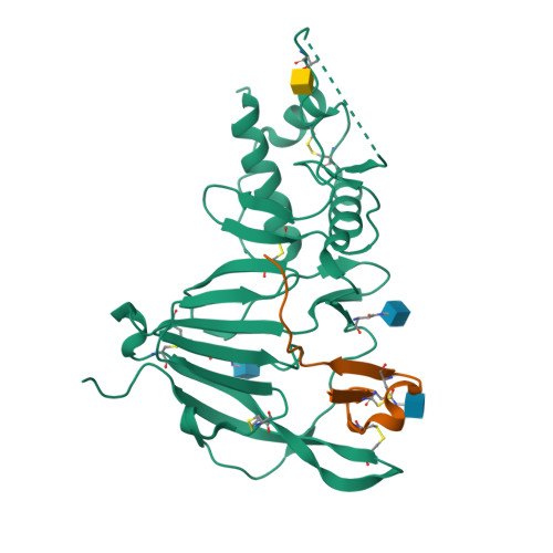RCSB PDB - 9AVF: CCHFV GP38-GnH-DS heterodimer
