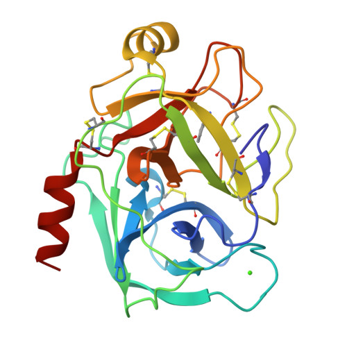 RCSB PDB - 9AWM: Crystal structure of trypsin at 225 Kelvin with ...