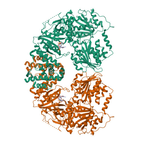 RCSB PDB - 9AYM: Cryo-EM Structure of E.coli produced recombinant N ...