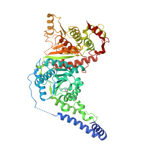 RCSB PDB - 9AYQ: SMARCA2 in complex with a pyridine-2-one-based inhibitor