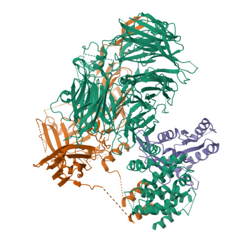 RCSB PDB - 9AYR: Structure of a Ric1-Rgp1-Rab6 activation intermediate