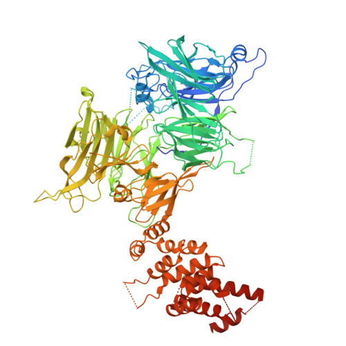 RCSB PDB - 9AYR: Structure of a Ric1-Rgp1-Rab6 activation intermediate