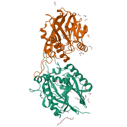 RCSB PDB - 9AYT: Structure of the quorum quenching lactonase GcL bound ...