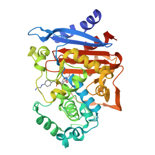RCSB PDB - 9AZW: Crystal structure of PDC-88 beta-lactamase in complex ...