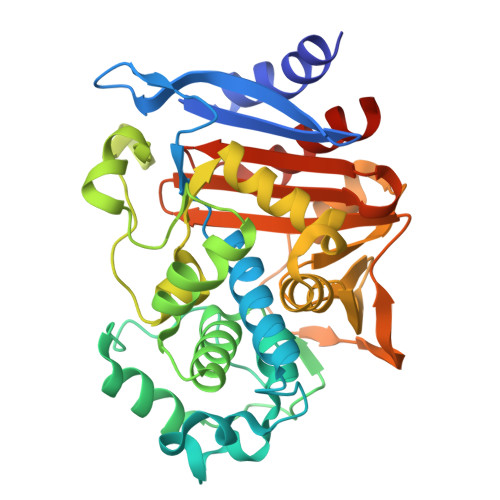 RCSB PDB - 9AZY: Crystal structure of PDC-88 beta-lactamase