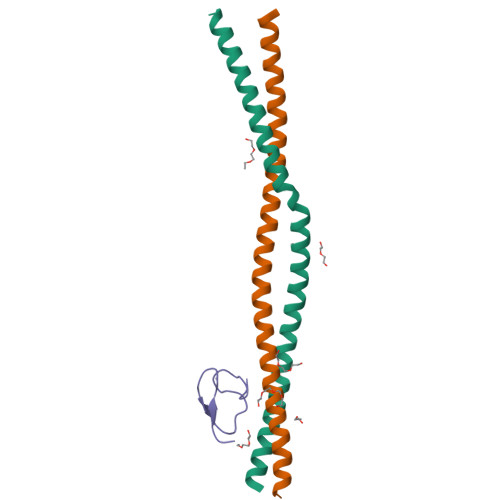 RCSB PDB - 9B0B: Structure of Optineurin bound to HOIP NZF1 domain