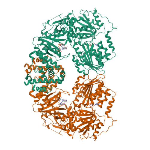 RCSB PDB - 9B0I: Cryo-EM Structure of Sf9 produced recombinant N ...