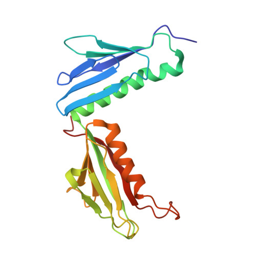 RCSB PDB - 9B0R: In situ human hibernating class2 80S ribosome