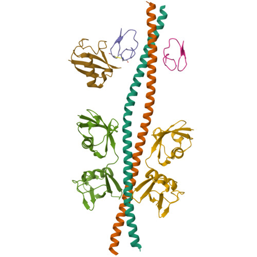 RCSB PDB - 9B0Z: Structure of Optineurin bound to HOIP NZF1 domain and ...