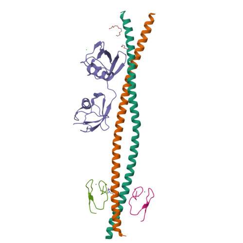 RCSB PDB - 9B12: Structure of Optineurin bound to HOIP NZF1 domain and ...