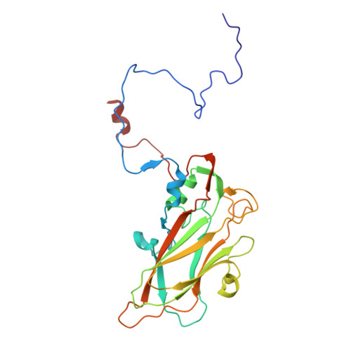 RCSB PDB - 9B18: EV-D68 in complex with inhibitor Jun11-53-7