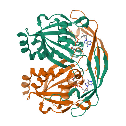 RCSB PDB - 9B21: Crystal structure of ADP-ribose diphosphatase from ...