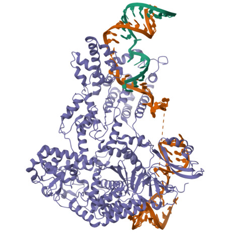RCSB PDB - 9B2K: SpCas9 with dual-guide RNA in open conformation