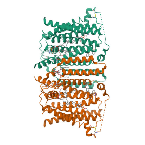 RCSB PDB - 9B4G: Structure of inhibitor-bound human PSS1