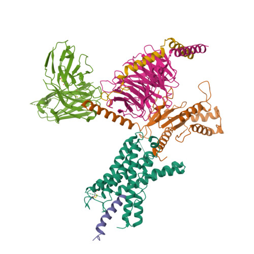 RCSB PDB - 9B5Y: Cryo-EM structure of the LAPTH-bound PTH1R in complex ...