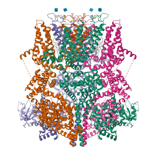RCSB PDB - 9B6H: Cryo-EM structure of the mouse TRPM8 channel in ...