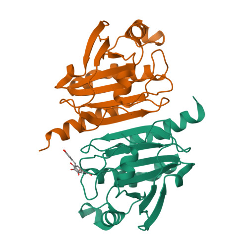 RCSB PDB - 9B7A: Crystal structure of peroxiredoxin 1 with RA