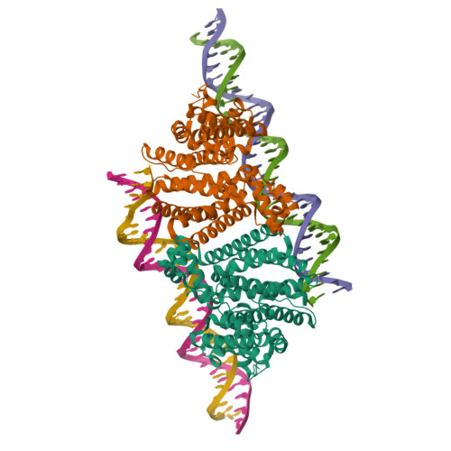 RCSB PDB - 9B7Y: Cryo-EM structure of TetR regulator Mce3R from ...