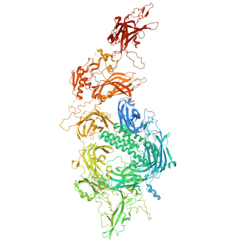 RCSB PDB - 9B8K: Cryo-EM structure of human dysferlin monomer