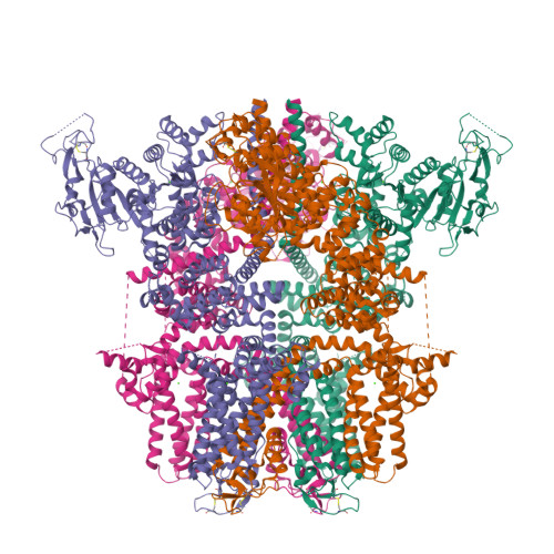 RCSB PDB - 9B8W: Cryo-EM structure of the human TRPM4 in complex with ...