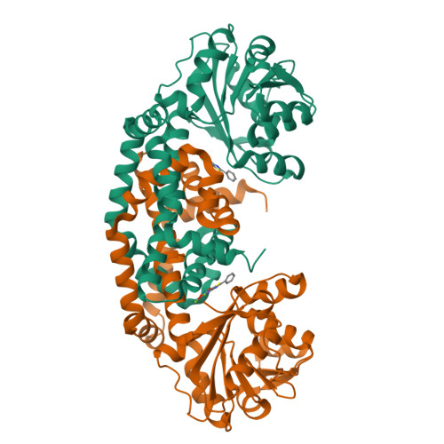 RCSB PDB - 9B9P: Crystal structure of Staphylococcus aureus ketol-acid ...