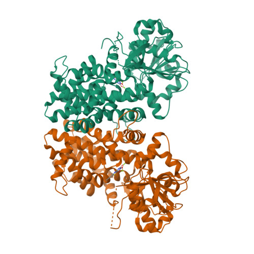 RCSB PDB - 9BAG: Crystal structure of Oryza sativa ketol-acid ...