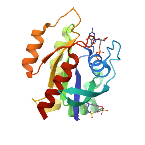 RCSB PDB - 9BAK: Crystal structure of GDP-bound human K-RAS in a ...