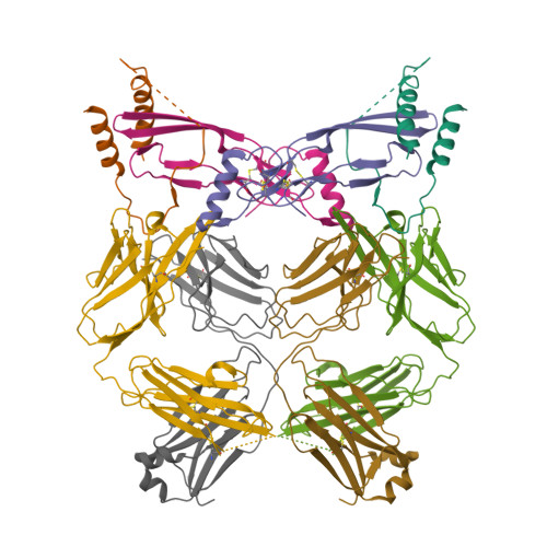 RCSB PDB - 9BAO: The Anti-Mullerian Hormone prodomain in complex with ...