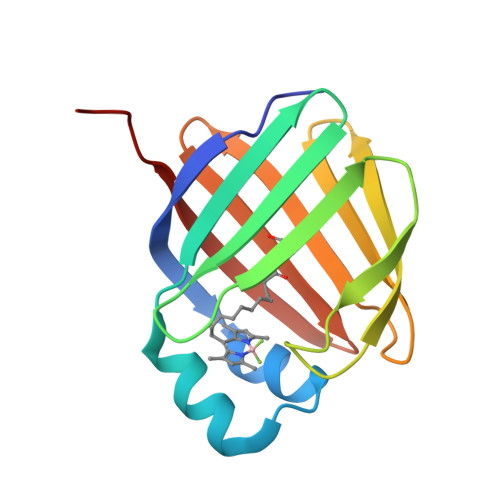 RCSB PDB - 9BCB: Crystal structure of human cellular retinol binding ...
