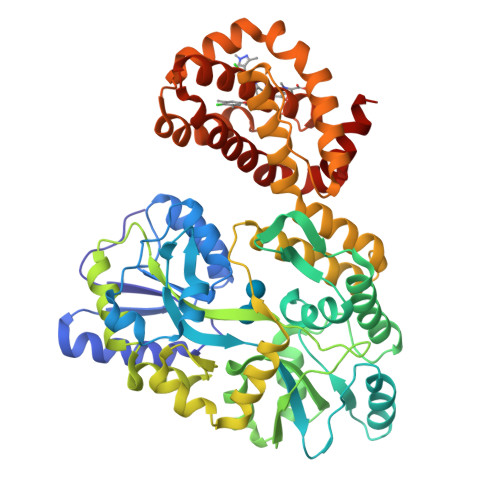 RCSB PDB - 9BCG: Myeloid cell leukemia-1 (Mcl-1) complexed with compound