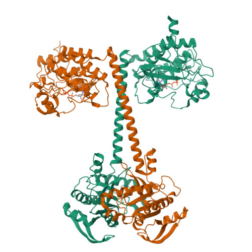 RCSB PDB - 9BCO: Intracellular domain of apo GC-A
