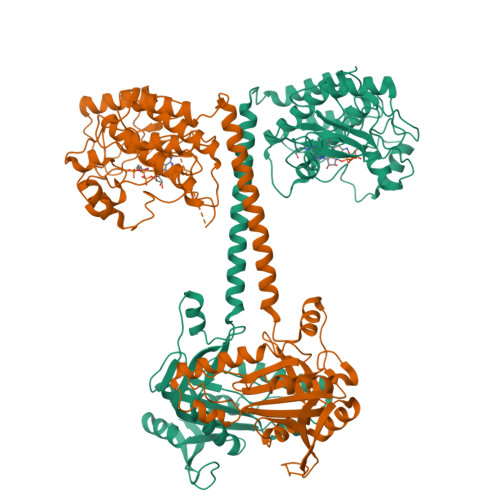 RCSB PDB - 9BCS: Intracellular domain of GC-A bound to ANP