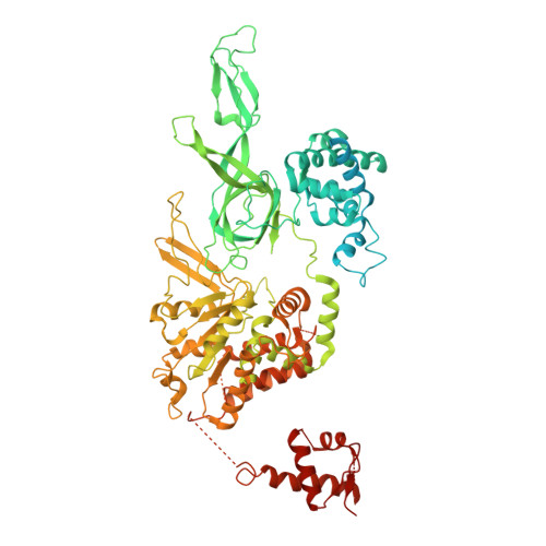 RCSB PDB - 9BCX: Cryo-EM structure of the S. cerevisiae ORC-Cdc6-Mcm2-7 ...