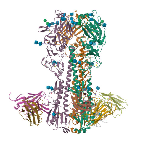RCSB PDB - 9BDF: Influenza A virus Hemagglutinin H3/Darwin/6/2021 in ...