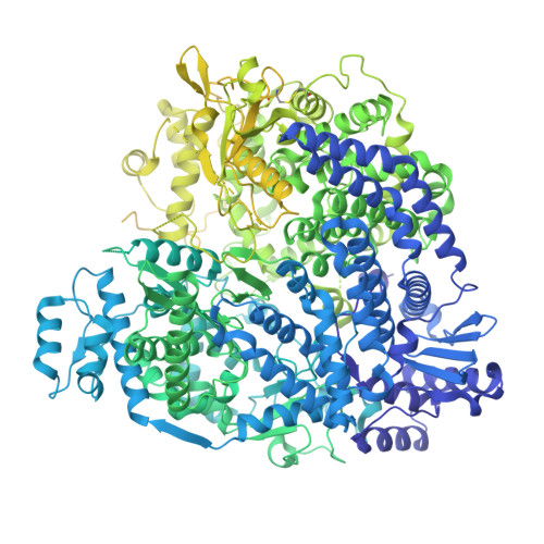 RCSB PDB - 9BDQ: The structure of NiV L-P complex