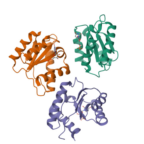 RCSB PDB - 9BF2: MID domain of Ago2 bound to UMP