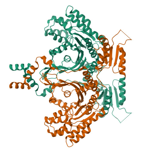 RCSB PDB - 9BF3: Cryo-EM Structure of GCN2 HRSL Domain