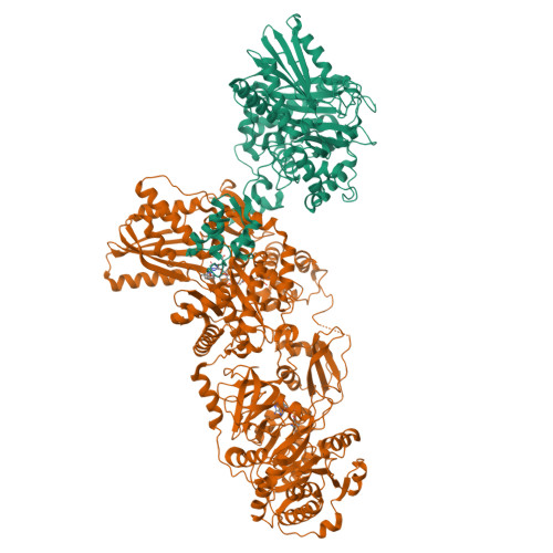 RCSB PDB - 9BFD: Tyrocidine synthetase modules 1 and 2 crosslinked in ...