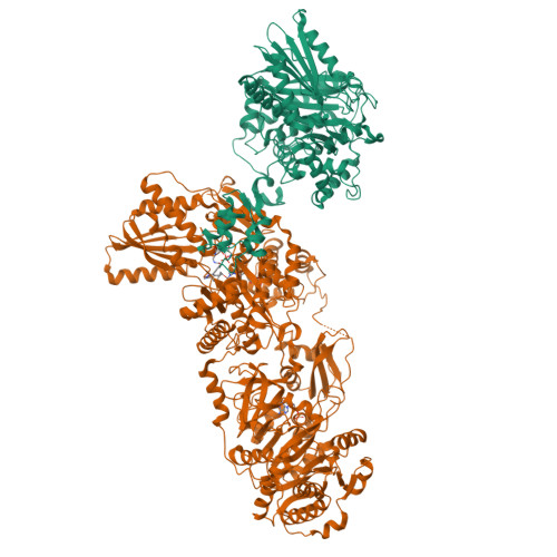 RCSB PDB - 9BFE: Tyrocidine synthetase modules 1 and 2 crosslinked in ...