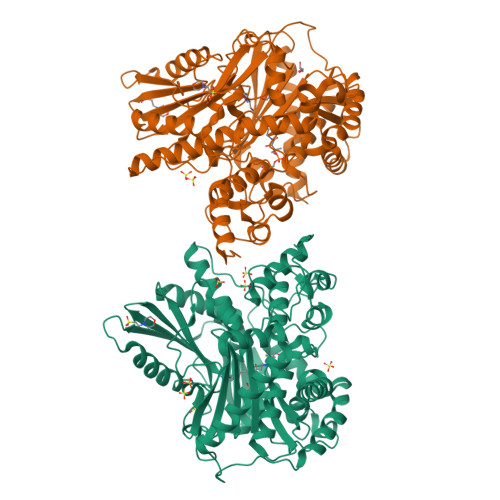 RCSB PDB - 9BFG: Structure of the crosslinked PCP-E didomain of ...