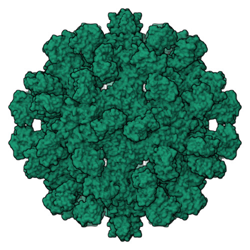 RCSB PDB - 9BHV: Streptomyces griseus Family 2B encapsulin shell with 2 ...