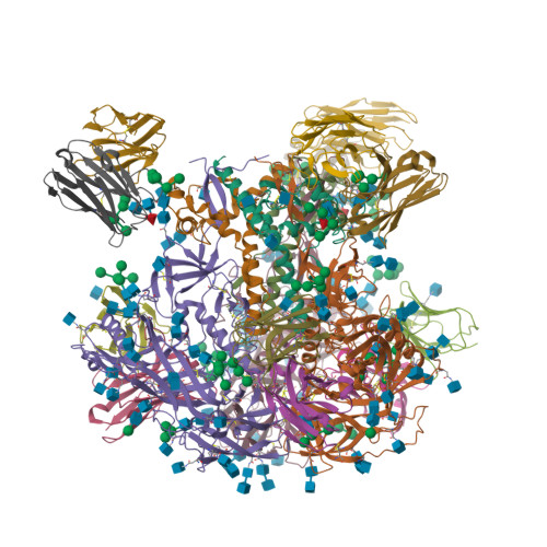 RCSB PDB - 9BIO: Structure of VRC44.01 Fab in complex with 3BNC117 ...