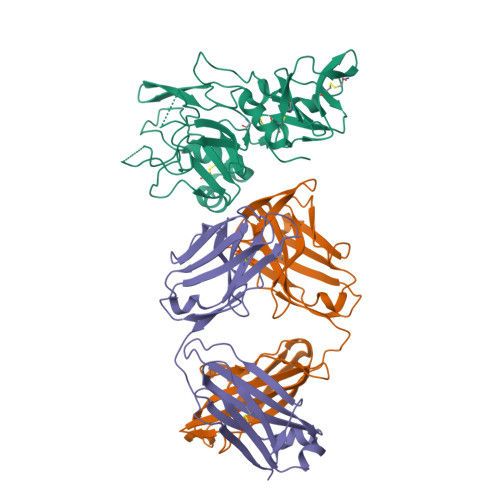 RCSB PDB - 9BJG: Crystal structure of broadly neutralizing human ...