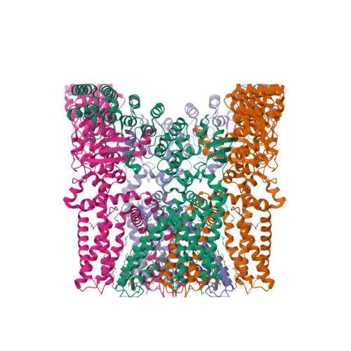 RCSB PDB - 9BKU: Cryo-EM structure of TRPV3 K169A in nanodiscs ...