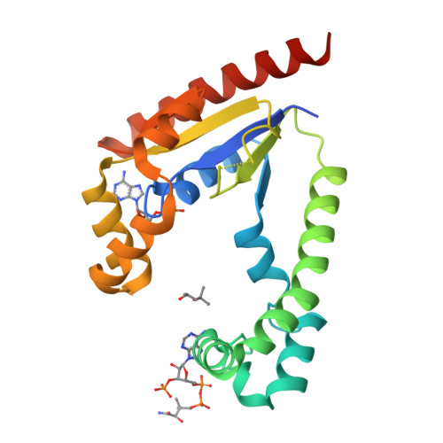 RCSB PDB - 9BKZ: Crystal Structure of Dephospho-CoA kinase from ...
