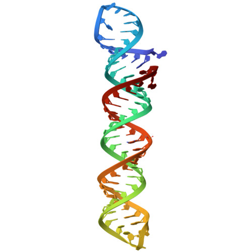 RCSB PDB - 9BLM: Structure of West Nile Virus 3'- stem-loop_68NTS