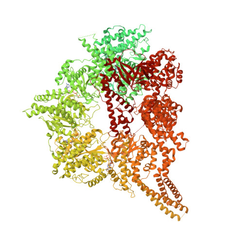 RCSB PDB - 9BM7: State-7b of motor domain from full-length human dynein ...